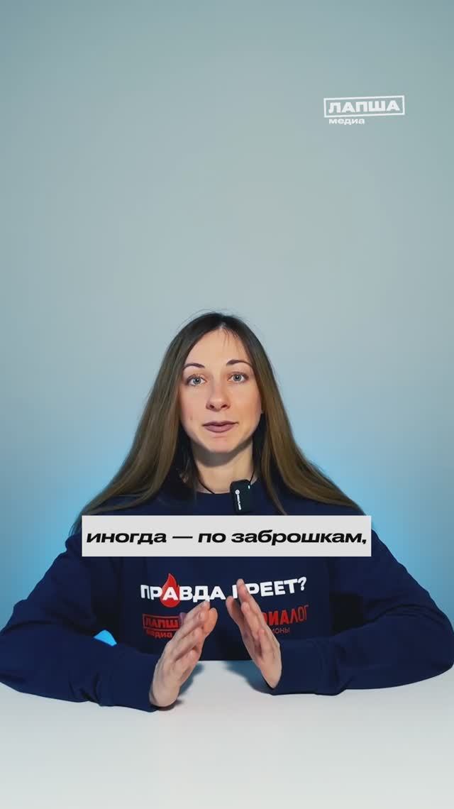 МИФ И ФАКТ О ТЮМЕНИ | Разбор теории #мифы