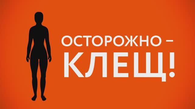 Клещи / «Это должен знать каждый»