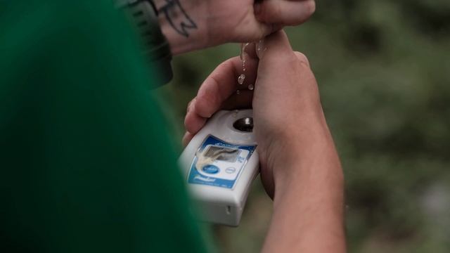 Оранжевый арбуз (оранжевое лето) - необычный цвет и вкус давно знакомой ягоды