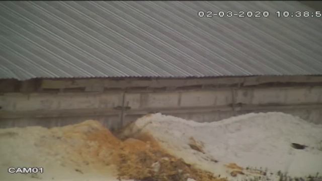 в/з №33 - 02.03.2020-утро-работа промышленных станков производственного предприятия  продолжается..