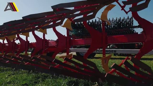 Золотая нива