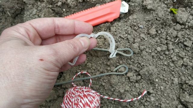 Интересный способ подвязки томатов в теплице