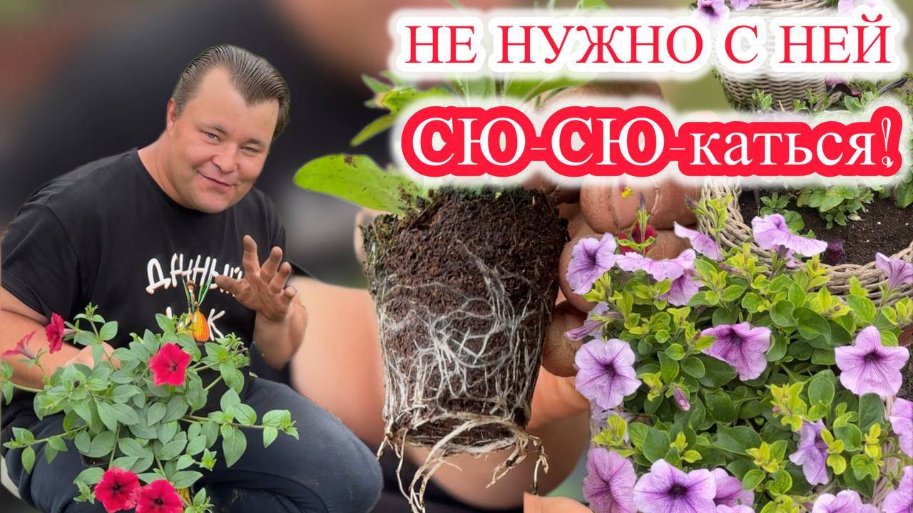 5 ПРОСТЫХ РЕКОМЕНДАЦИЙ ПО ВЫРАЩИВАНИЮ ПЕТУНИИ!