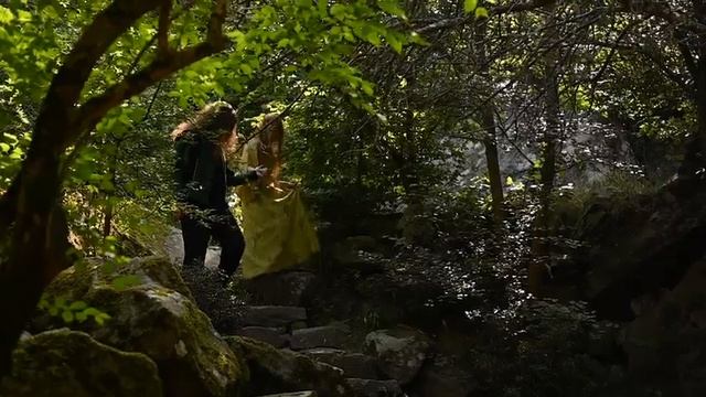 Зеленые рукава