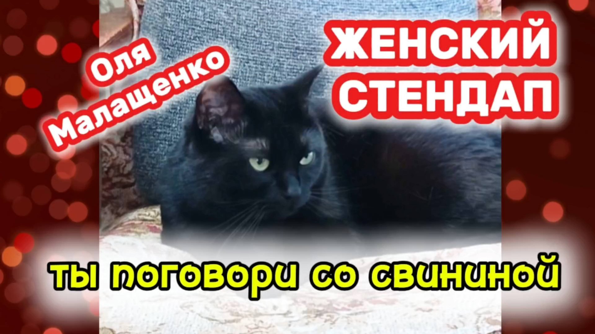 Оля Малащенко . Женский стендап. ТЫ ПОГОВОРИ  СО СВИНИНОЙ