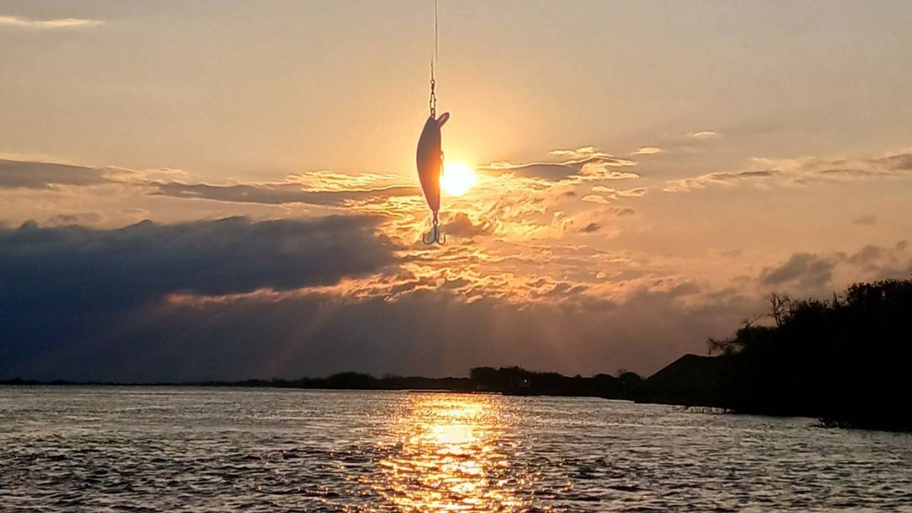 4 рыбалки в одном видео