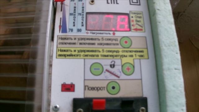 Включили  инкубатор Блиц норма 72. с куриными яйцами. Несушки..