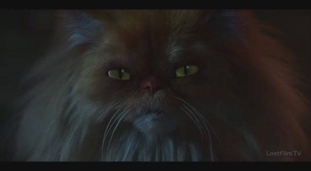 Другая большая штука...