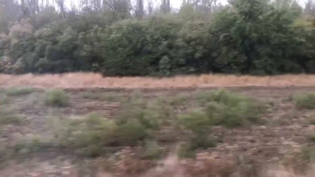 Стук колёс детства из окна поезда Ейск звеньевой путь и поющие рельсы