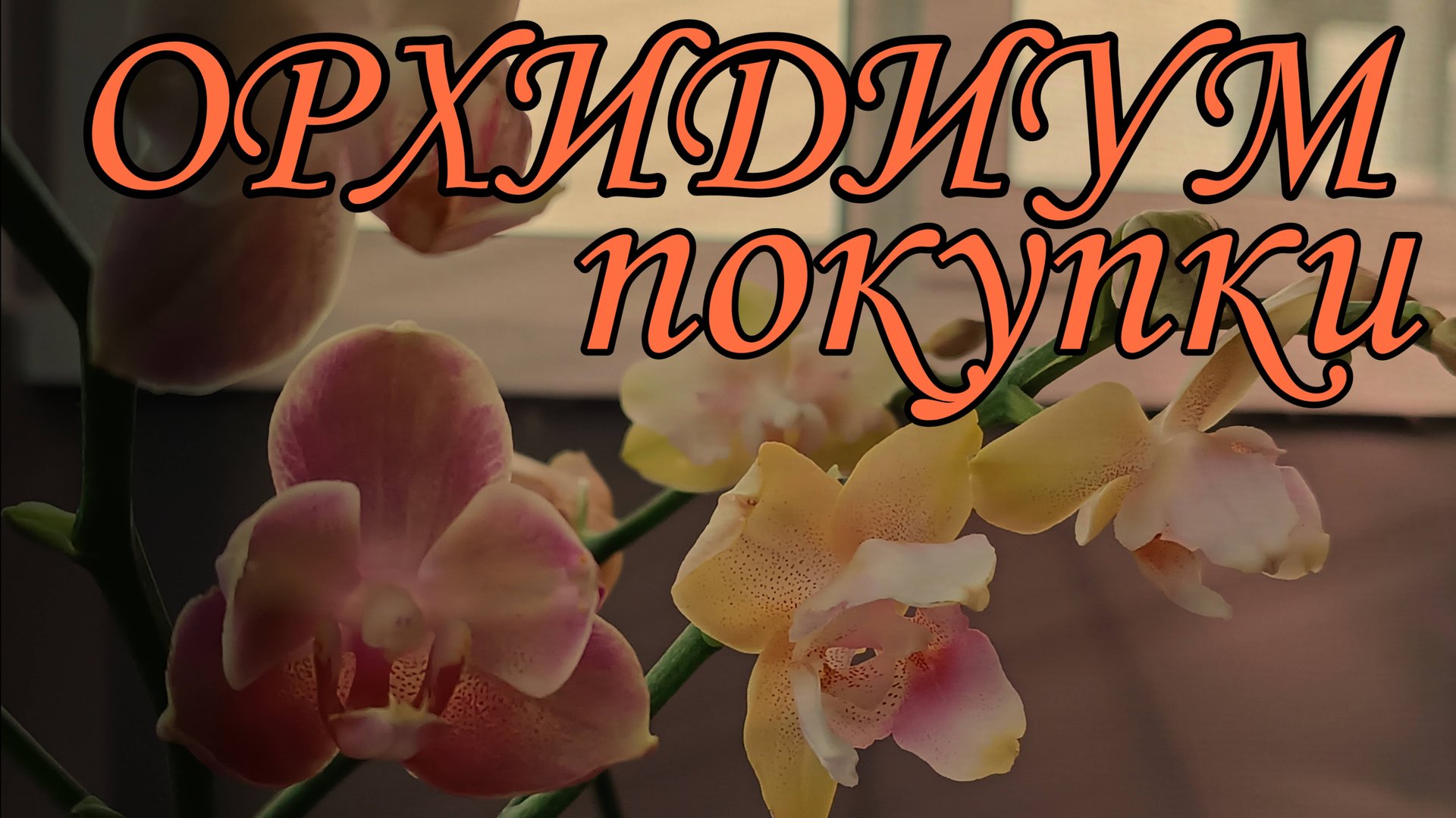 Распаковка ОРХИДЕЙ с Орхидиума 🔥🔥🔥 Первый уход 💦