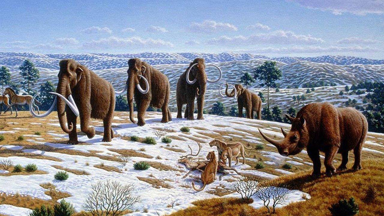 Об изменении наклона земной оси