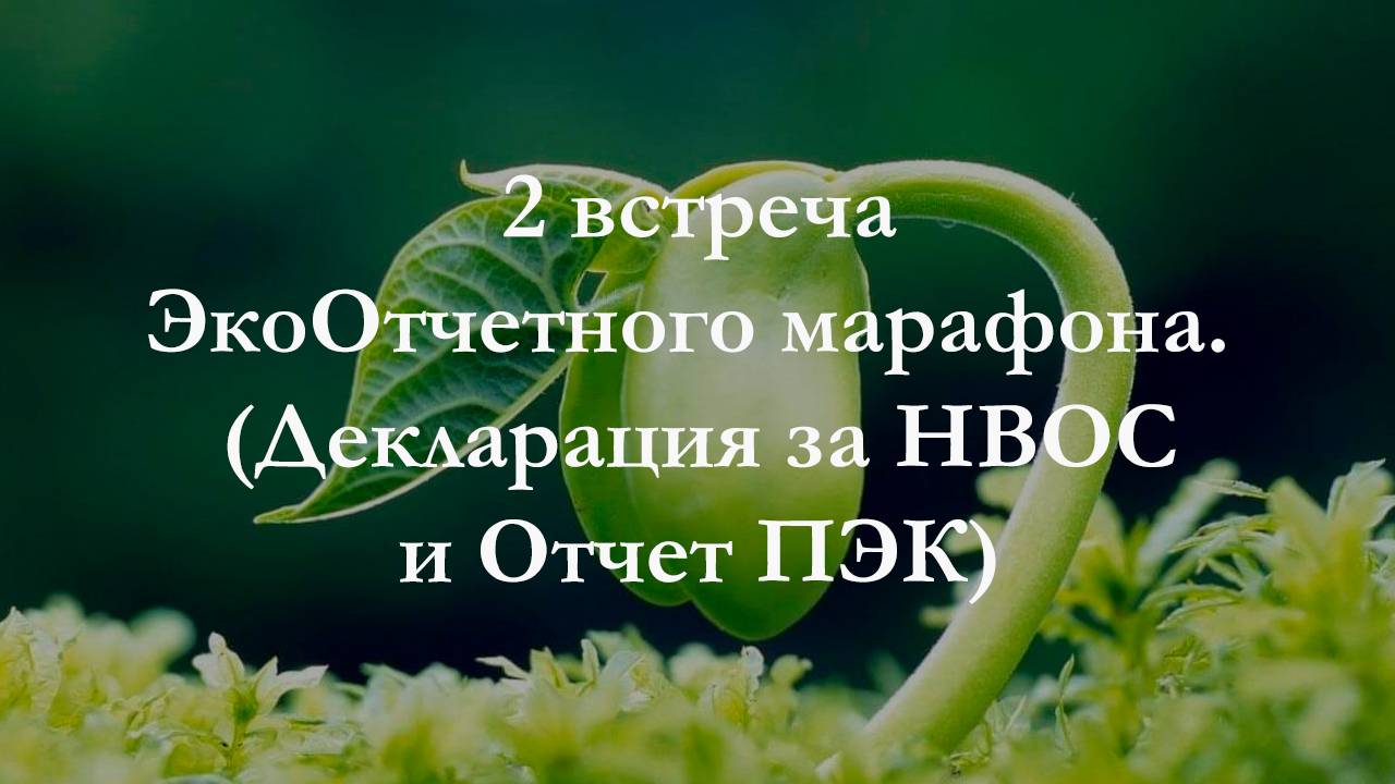 2 встреча ЭкоОтчетного марафона (Декларация за НВОС и Отчет ПЭК)