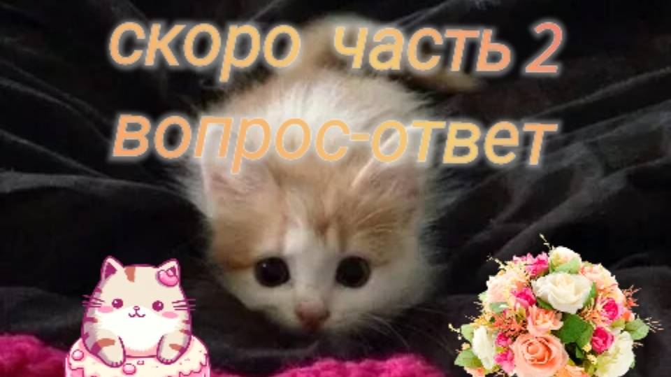 Скоро вопрос- ответ 2 часть 
Пишите вопросики под этим видео 😩🥲