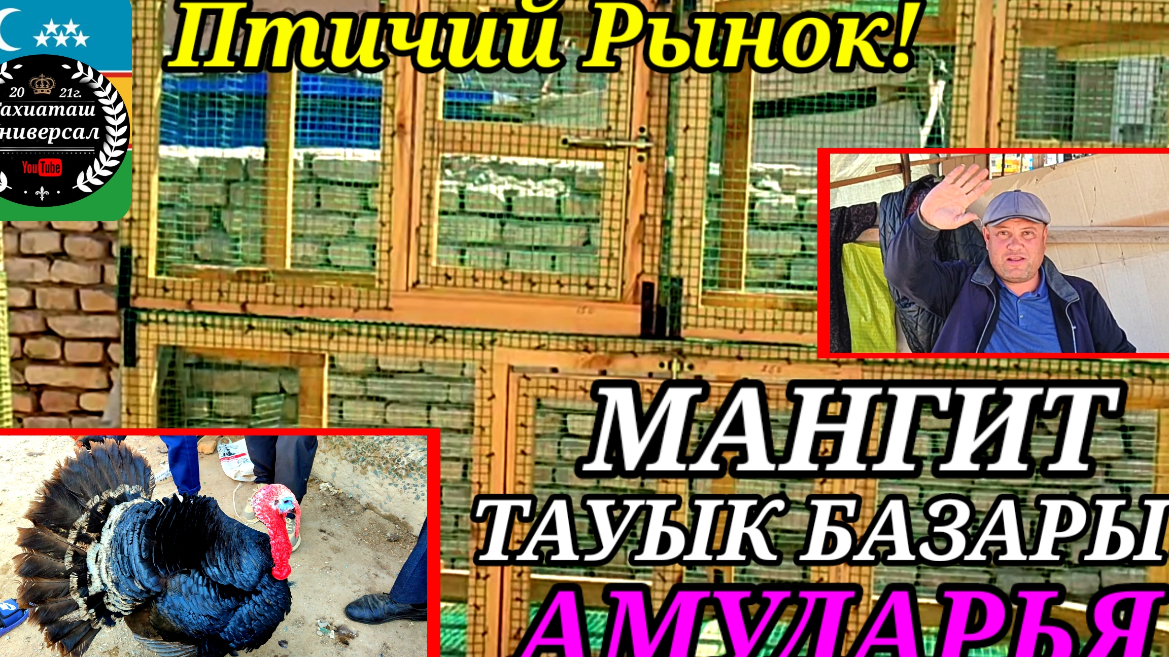 20-05-2025 ПТИЧИЙ РЫНОК 🐓 ТАУЫК БАЗАР