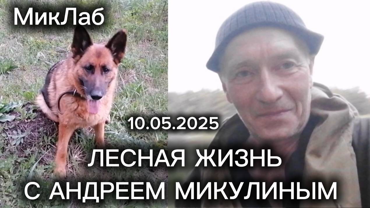 Лесная Жизнь с Андреем Микулиным. Выпуск от 10.05.2025. МикЛаб