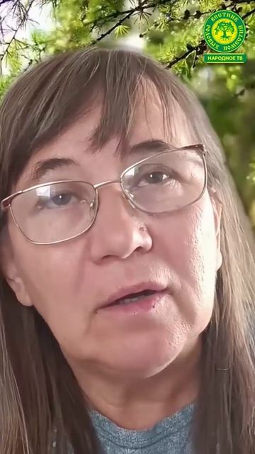 Главное отличие