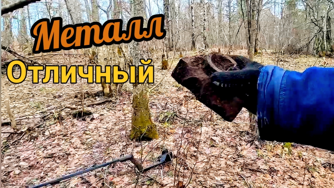 Копаю металл на окраине старого поля