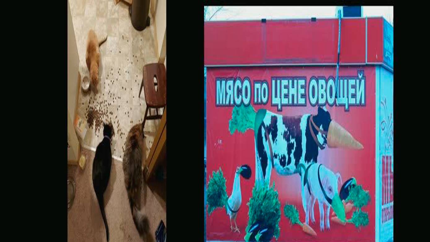 Сборник веселых, смешных и интересных фото с интернета (1 часть)