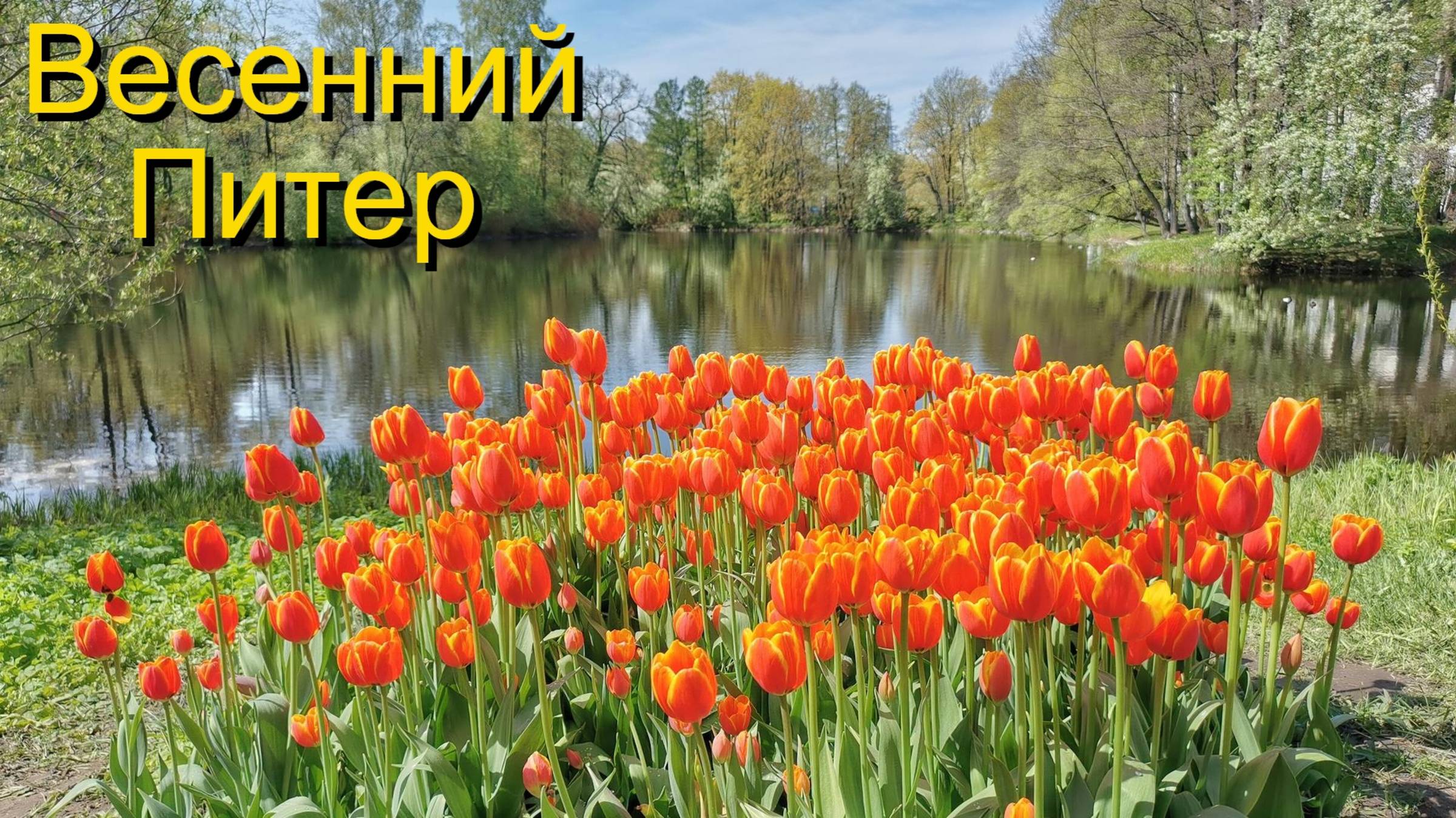 Весенний Петербург