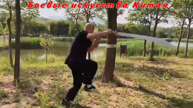Двуручный меч... Синъицюань