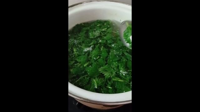 Крапивный супчик - Полязняшка от природы весной