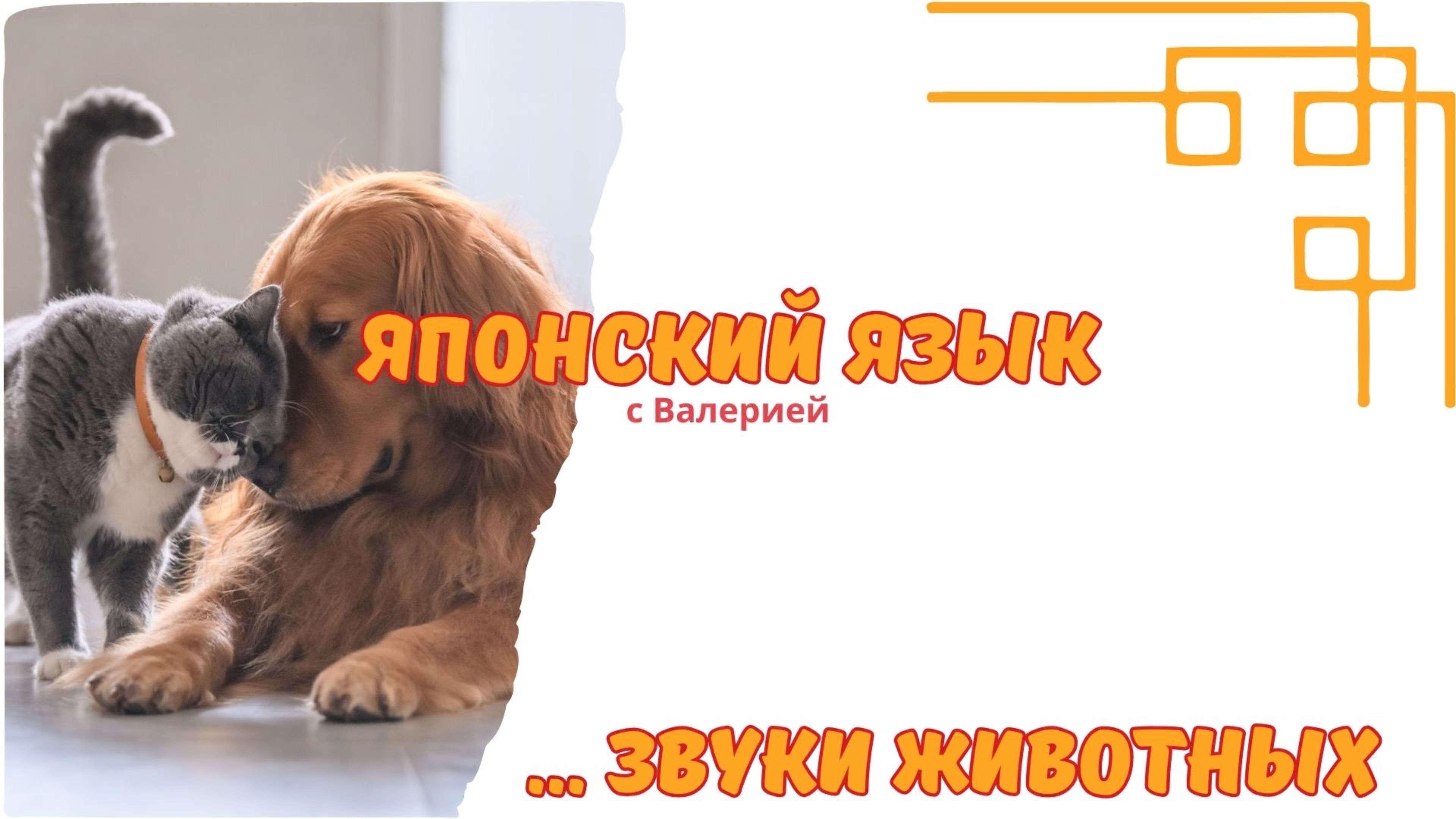 Как звучат звуки животных на японском языке?