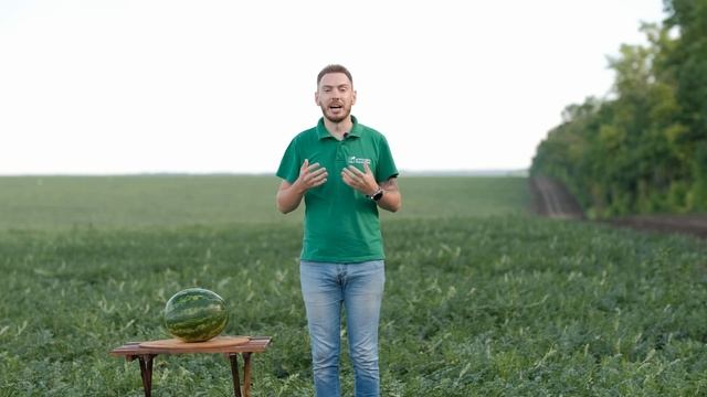 Нун  - Агросоюз Романовский