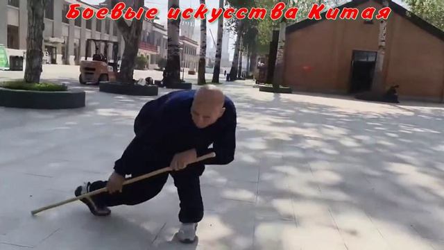 Палка-хлыст... Синъицюань