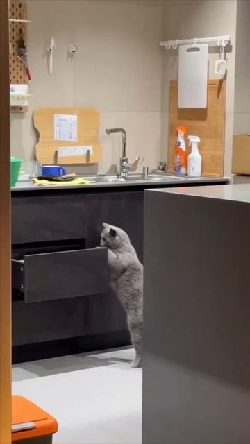 Показалось