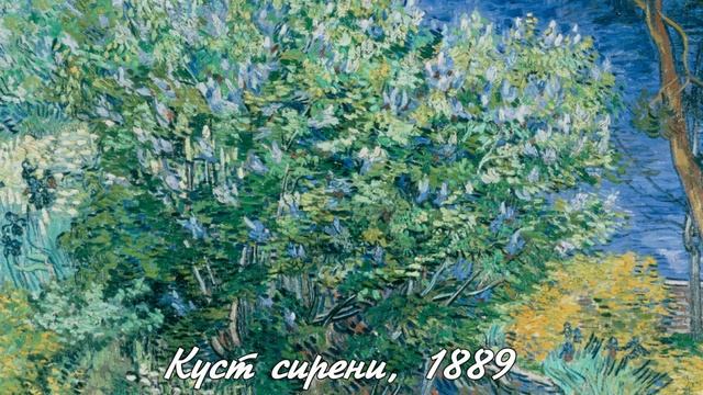 Яркий мир Ван Гога ✨