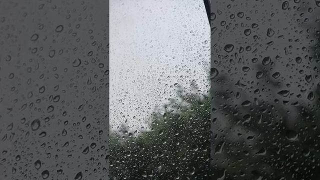 Сильный ливень. Таймлапс