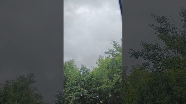 Дождевые облака и дождь. Таймлапс