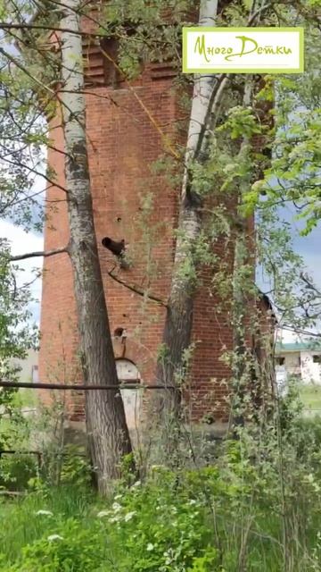 "Многодетные путешественники". Приглашение