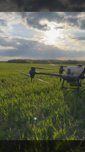 Гербицидная обработка полей агродронами
