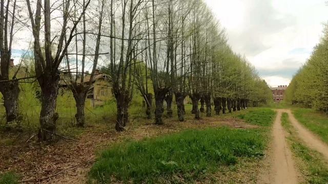 Квартетом в Кологрив.