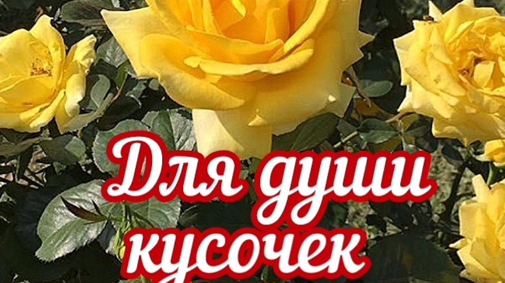 💕🌞 С добрым утром, днём!