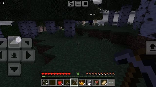 Выживание майнкрафт #3