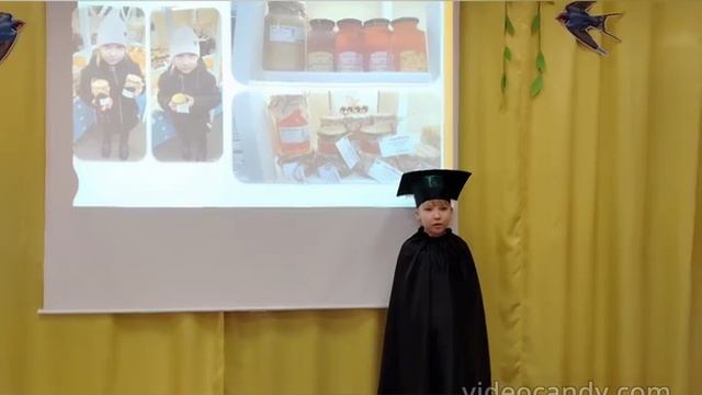 21677_8 «Тайна меда или какой бывает мед», Терехова Кира (НПК дошкольников 2025)