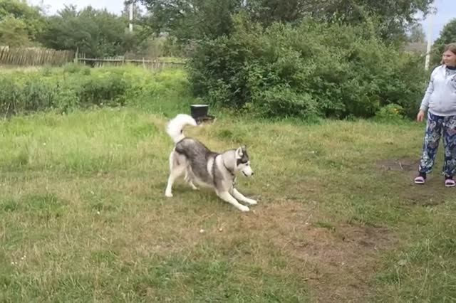 Пять лет назад. | 🍀 Строю САМ