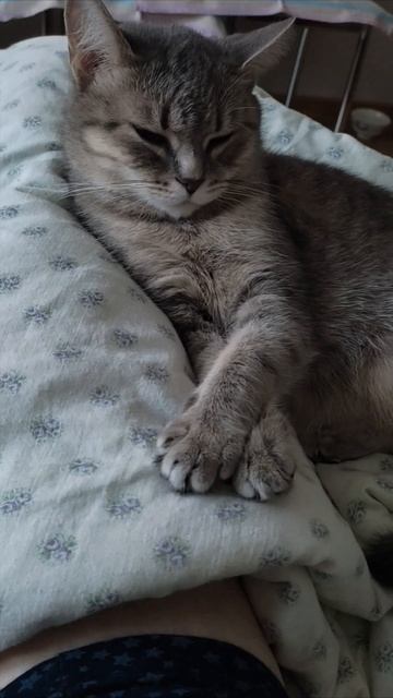 Жду Деда Мороза! Глаза так и закрываются. Как бы не проспать.