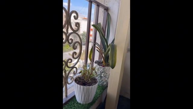 #Прикол #Юмор #Топыкатегорий #Смех #Шарсводой #Ржака