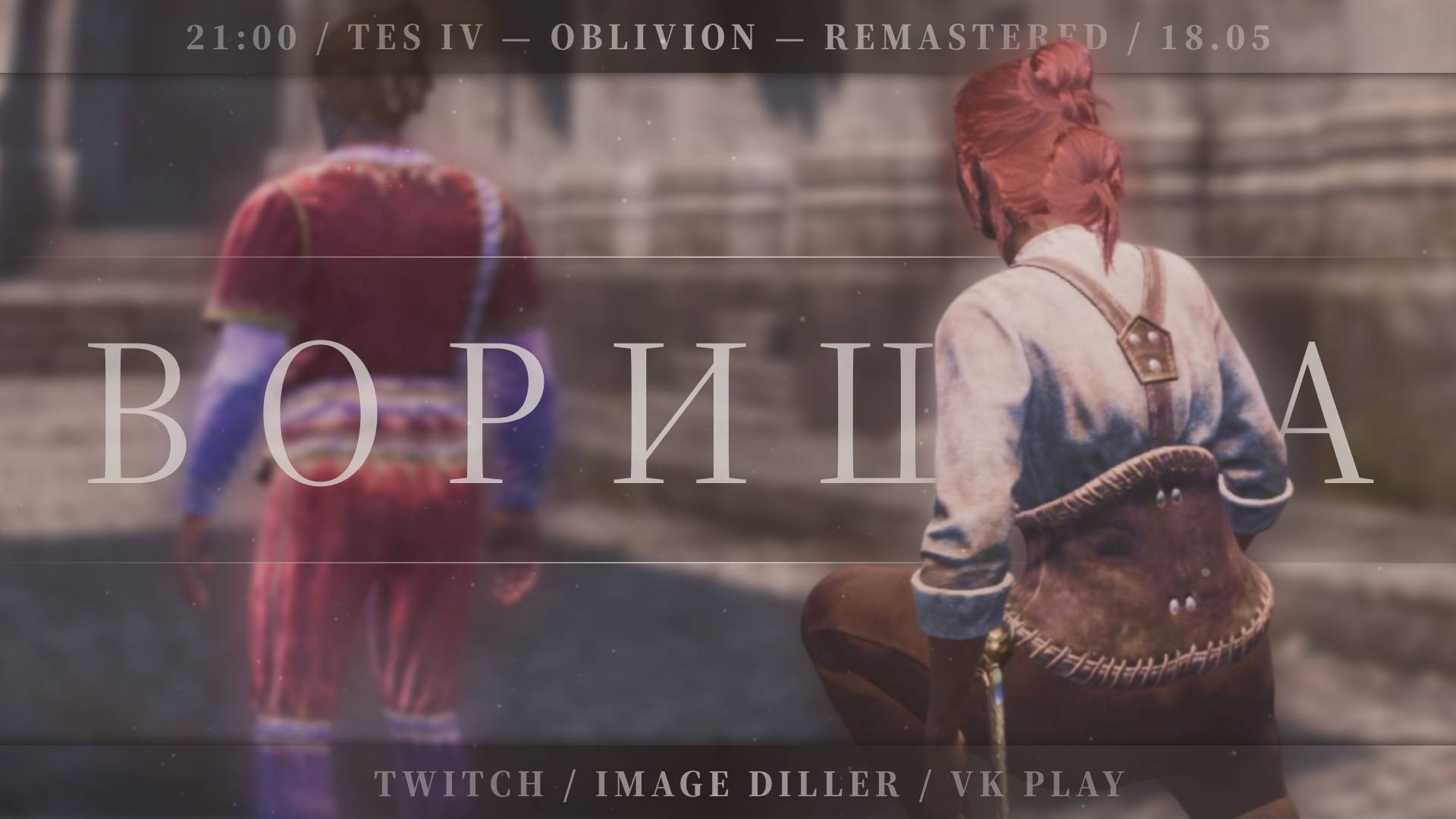 The Elder Scrolls IV: Oblivion Remastered — Воришка — #5