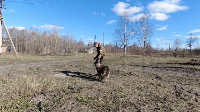 Тренировка по развитию пищевой мотивации и выдержки (Часть 2).