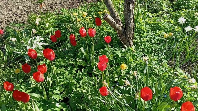 Чтобы отдохнуть - в сад.