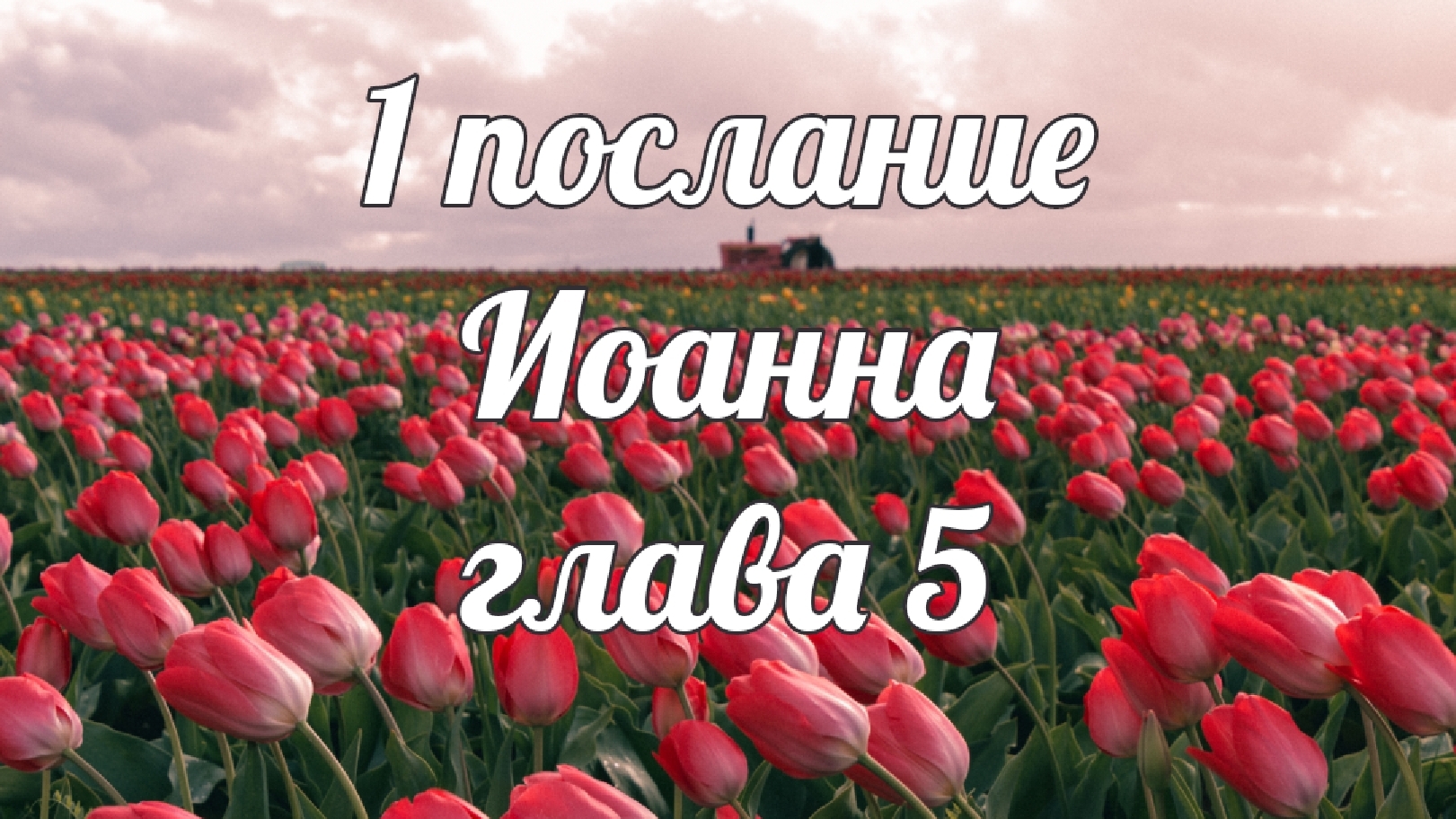 1 послание апостола Иоанна глава 5