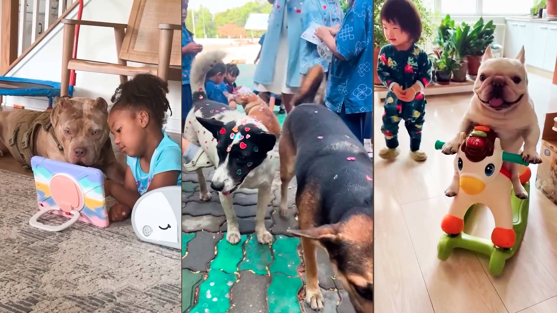 Дети + собаки = лучшие друзья🐶