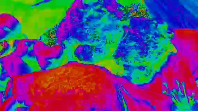 игрушки  в RYTP №17 телефон убийца сезон 2