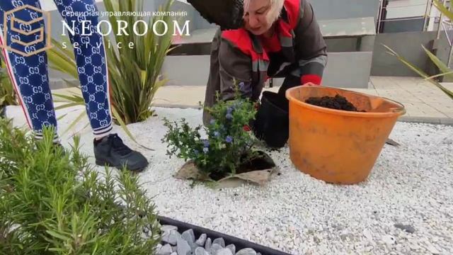 Как ЖК "Фрукты" расцветает благодаря своим жителям.