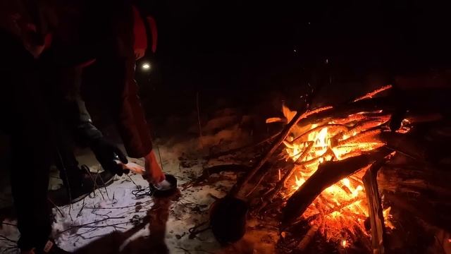 Артур для Андрэича. Ночь в лесу в снегопад. 2024-11-08