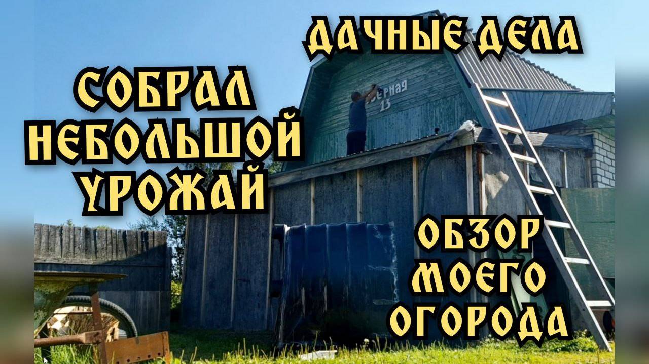 Дачные хлопоты. Я снова на даче. Собираю урожай. Обзор моего огорода на даче.